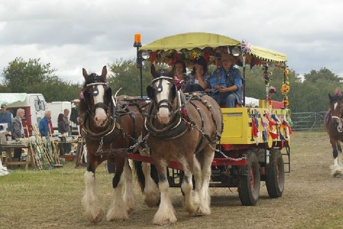 Craft Marquee at Great Bucks Steam and Country Rally, Helen Wharton ...