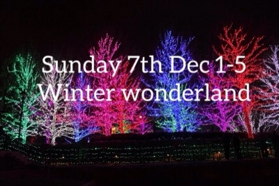 Firth Park Winter Wonderland, Firth Park Festival - Ref #2375 | Stall ...