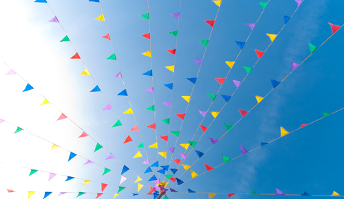Rosebery Summer Festival, Rosebery School PSA - Ref #6933 | Stall ...