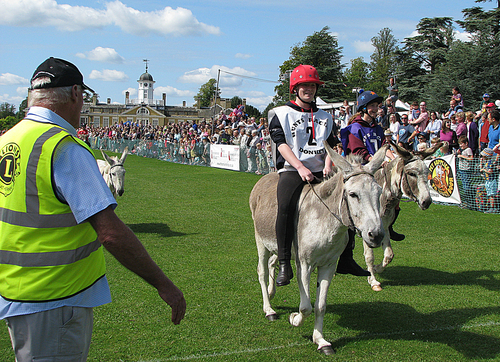 Donkey Derby,Family Fun Day & Dog Show, Leatherhead & District Lions ...