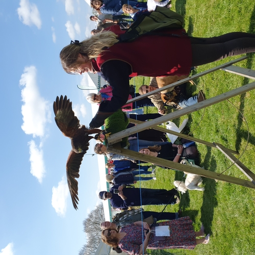 Weald of Kent Country Craft Show, ICHF - Ref #53253 | Stall & Craft ...