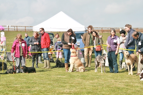 Open Day and Fun Dog Show, National Animal Welfare Trust - Ref #17612 ...