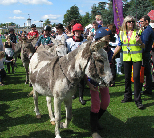 Mrs. Greville's Donkey Derby and Family Fun Day, Leatherhead & District ...